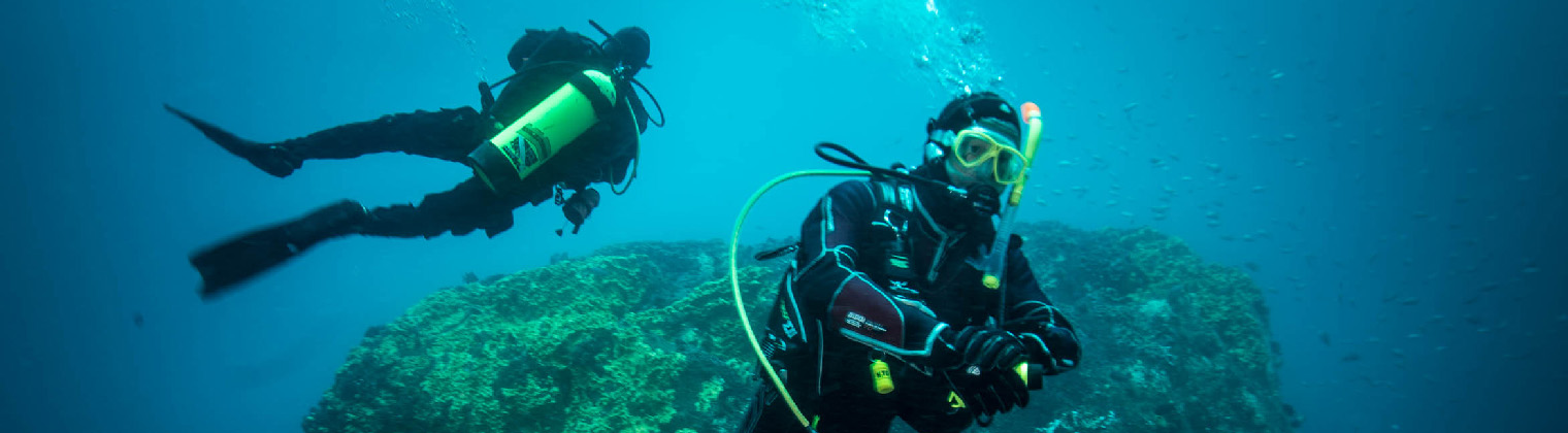 home – SyA Group Chile